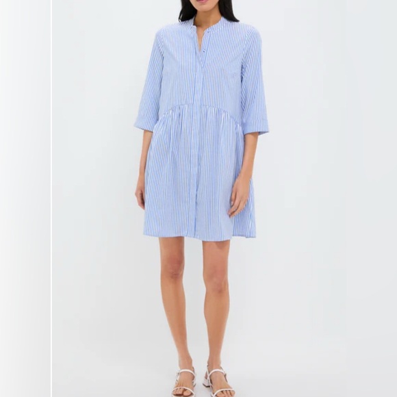 Tuckernuck Royal Shirt Dress
